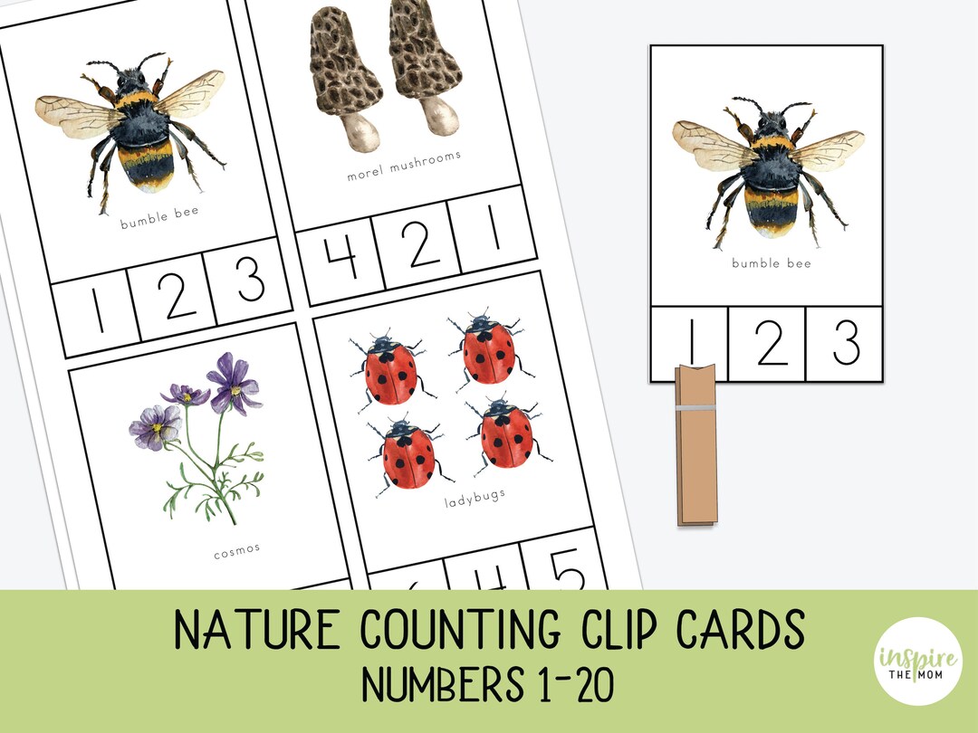 Preschool Nature Counting Clip Cards, Numbers 1-20, Charlotte Mason ...