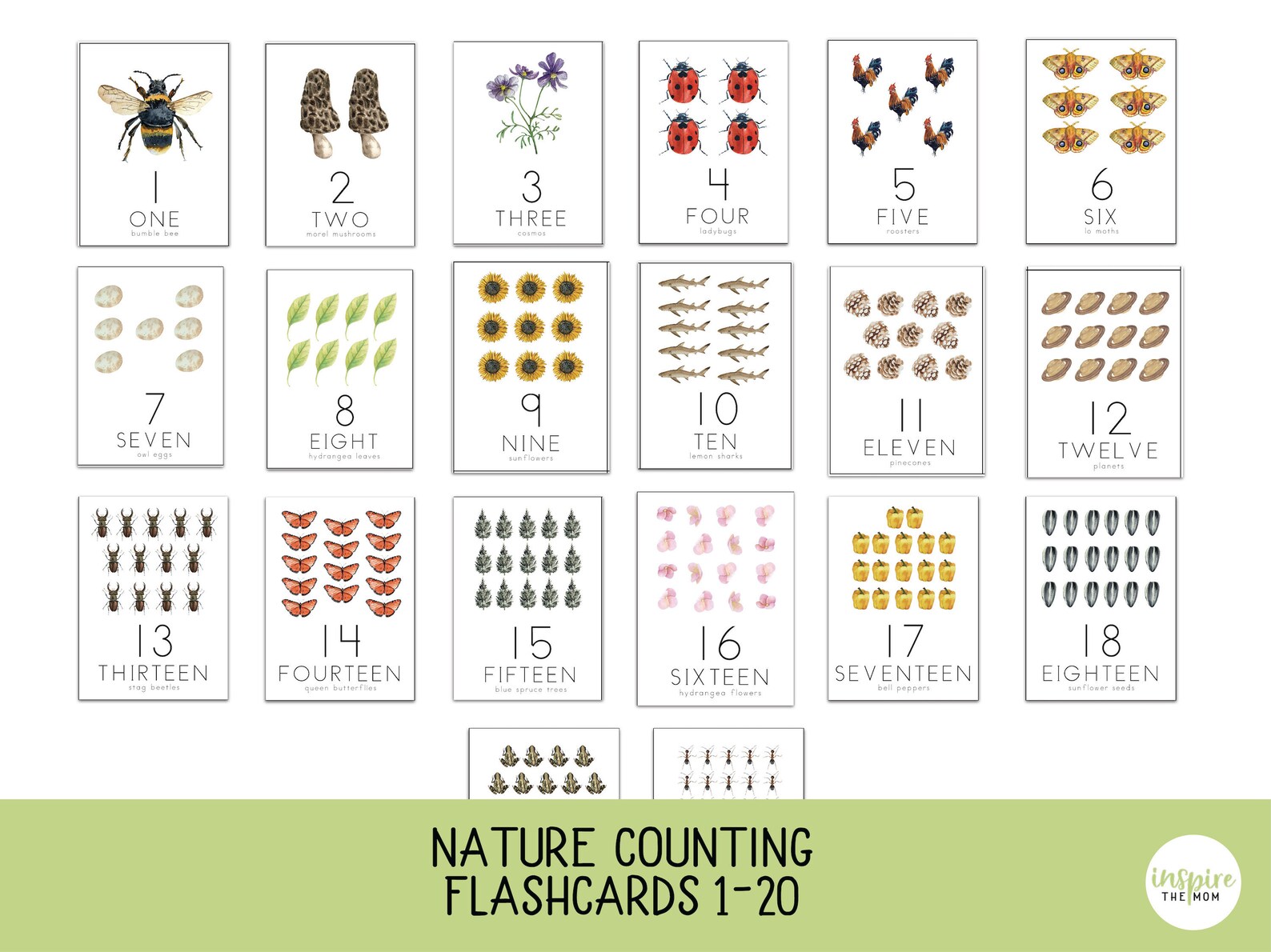 Nature Counting Flashcards, Preschool, Homeschool Printable, Charlotte ...