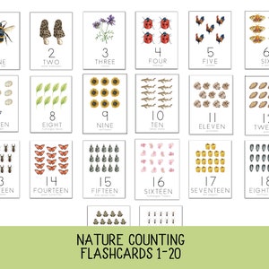 Nature Counting Flashcards, Preschool, Homeschool Printable, Charlotte ...