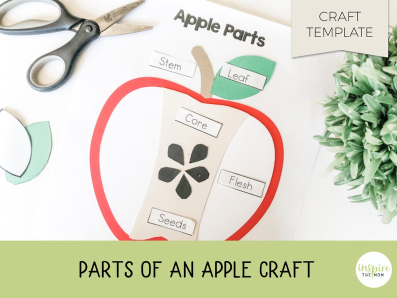 Parts of an Apple Craft, Apple Template, Apple Craft, Apple Activity ...