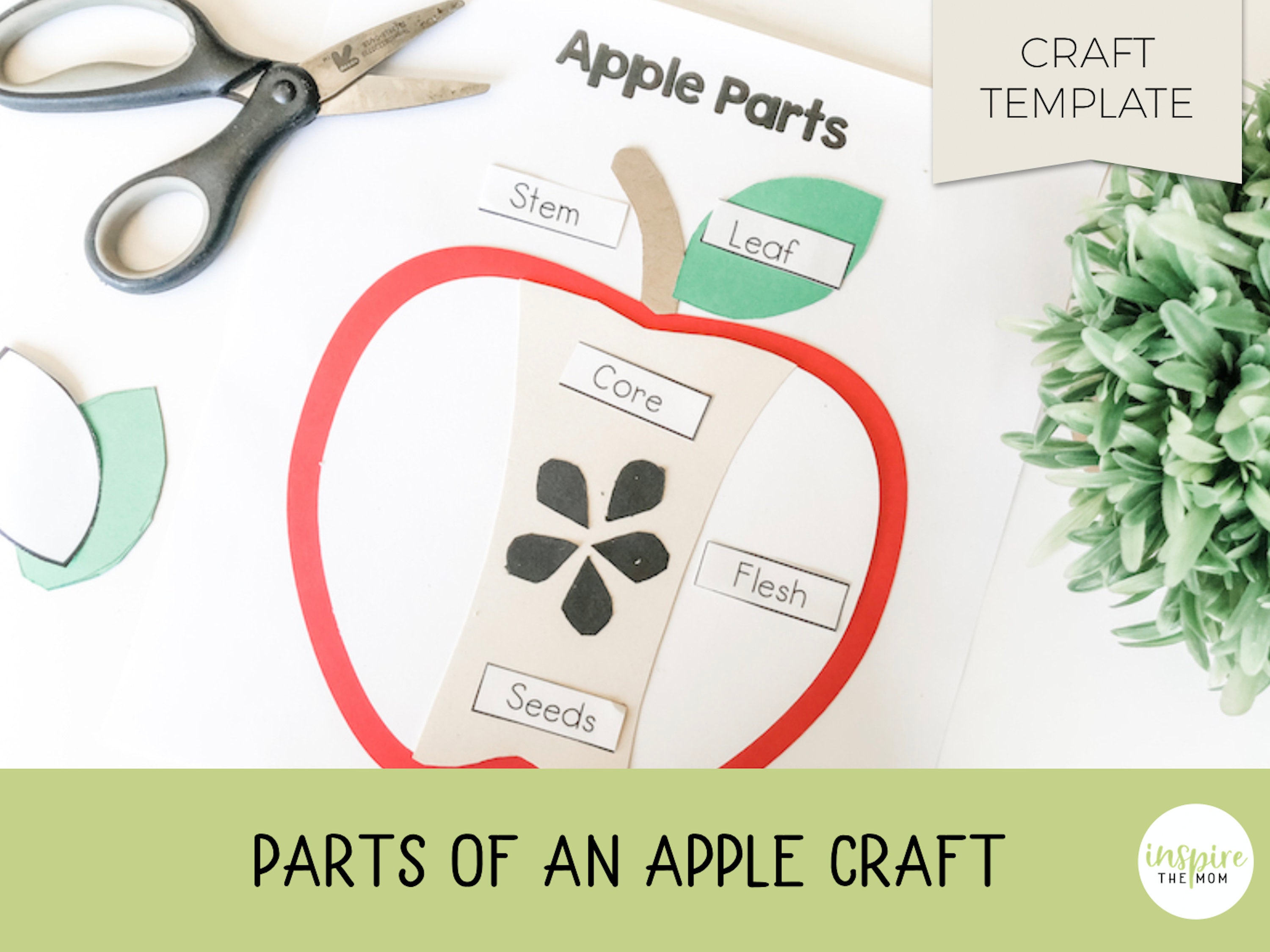 Parts of an Apple Craft, Apple Template, Apple Craft, Apple Activity ...