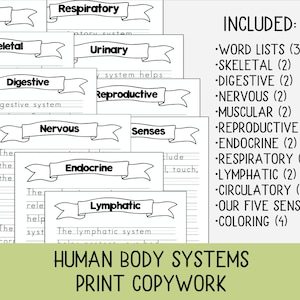 Human Body Systems, Print Copywork, Human Body Facts, Print Handwriting ...