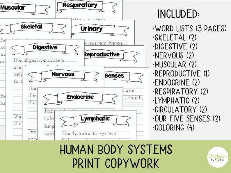 Human Body Systems, Print Copywork, Human Body Facts, Print Handwriting ...