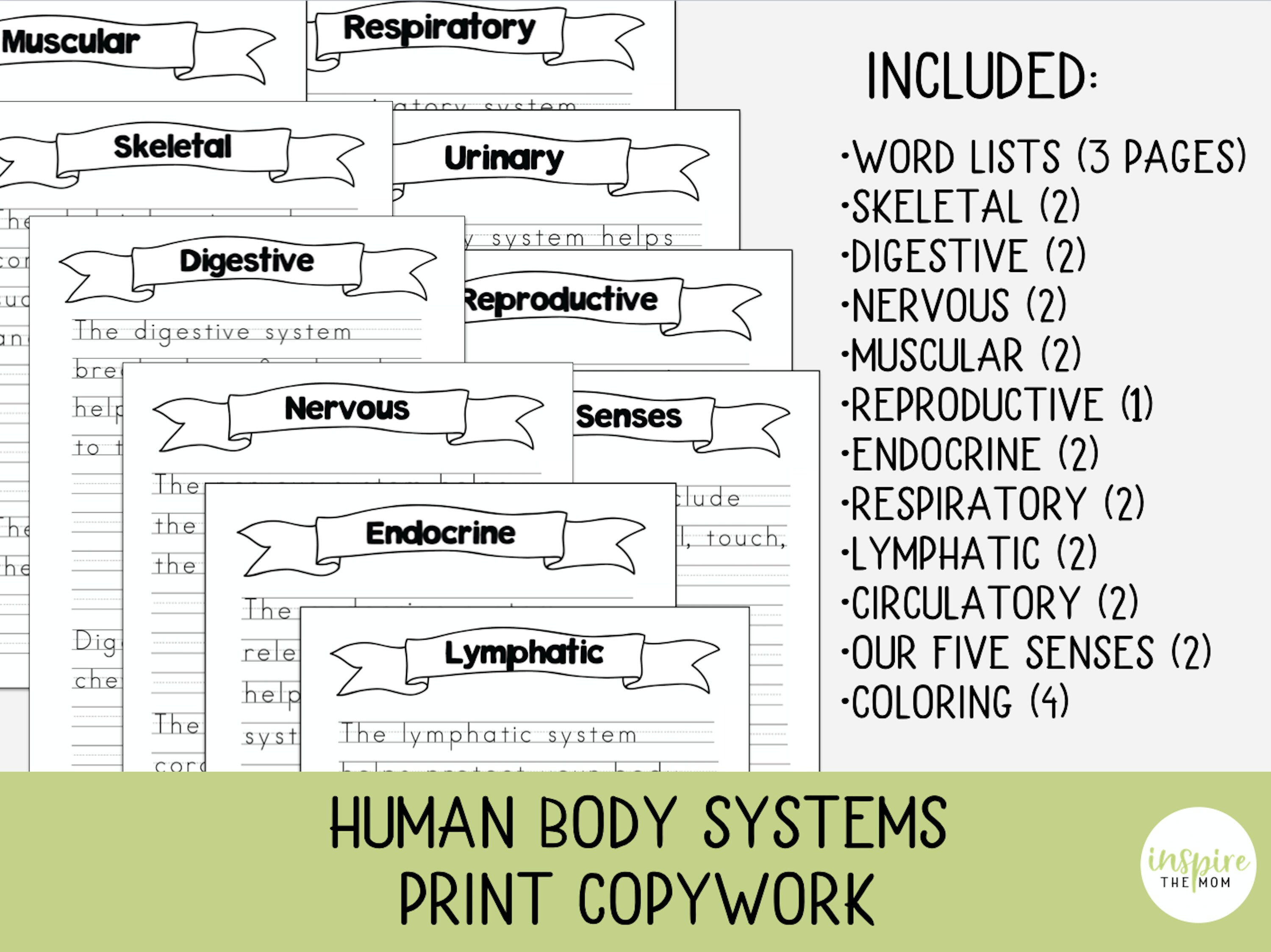 Human Body Systems, Print Copywork, Human Body Facts, Print Handwriting ...