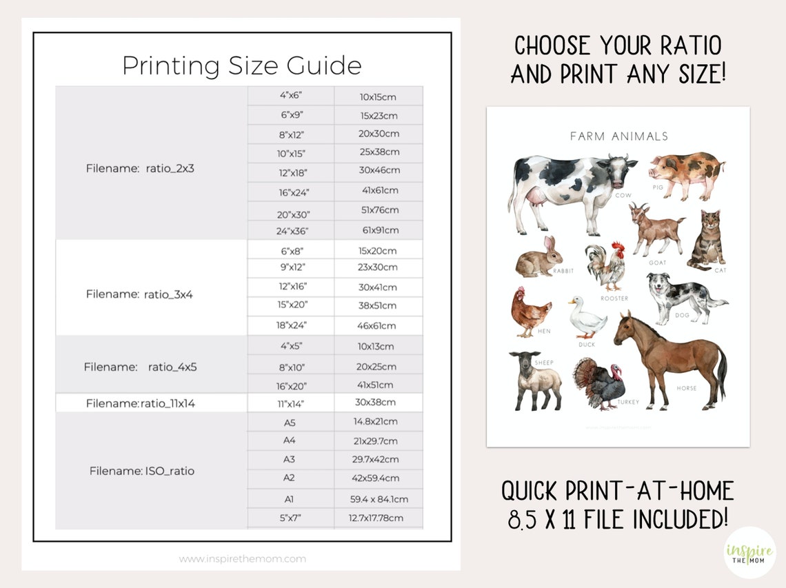 Farm Animals Nature Poster Educational Poster School Art | Etsy