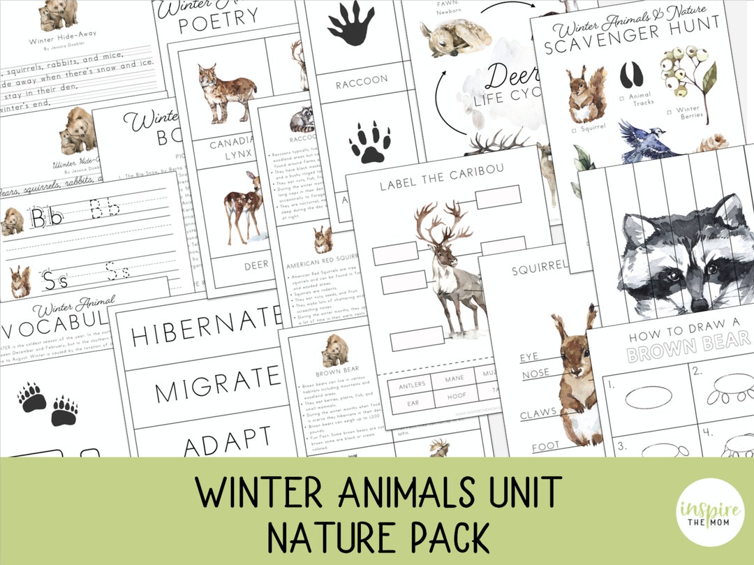 Winter Animals Unit, Nature Study, Homeschool Printable, Prek - 2nd ...