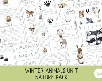 Ocean Unit Study, Ocean Layers, Ocean Animals Study, Ocean Families ...