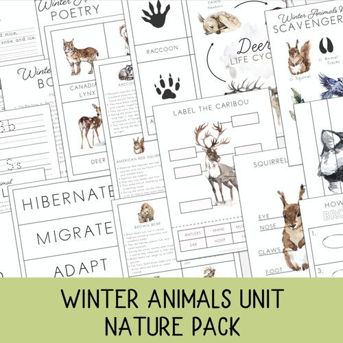 WINTER Nature Unit Study Winter Activities Handwriting - Etsy