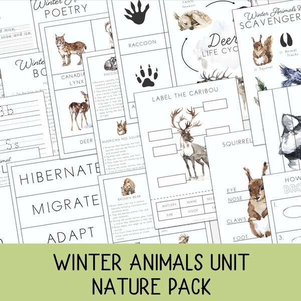 Unit Study Homeschool - Etsy