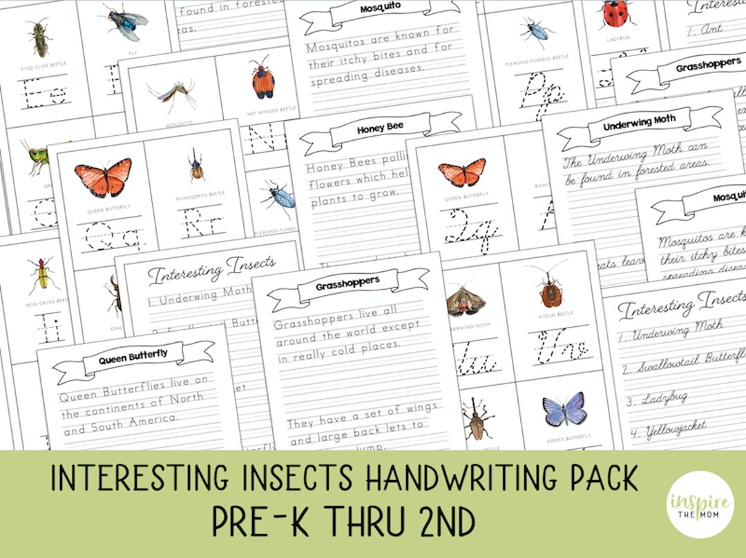Interesting Insects Handwriting Pack, Prek - 2nd Grade, Print and ...