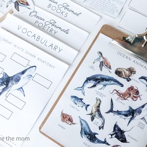 Ocean Animals Unit BUNDLE, Nature Study, Math, Language Arts ...