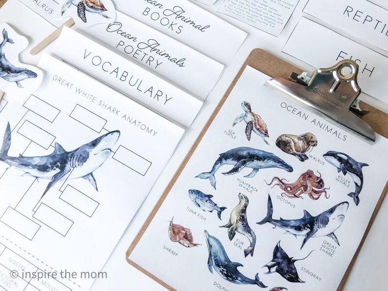 Ocean Animals Unit BUNDLE Nature Study Math Language Arts - Etsy