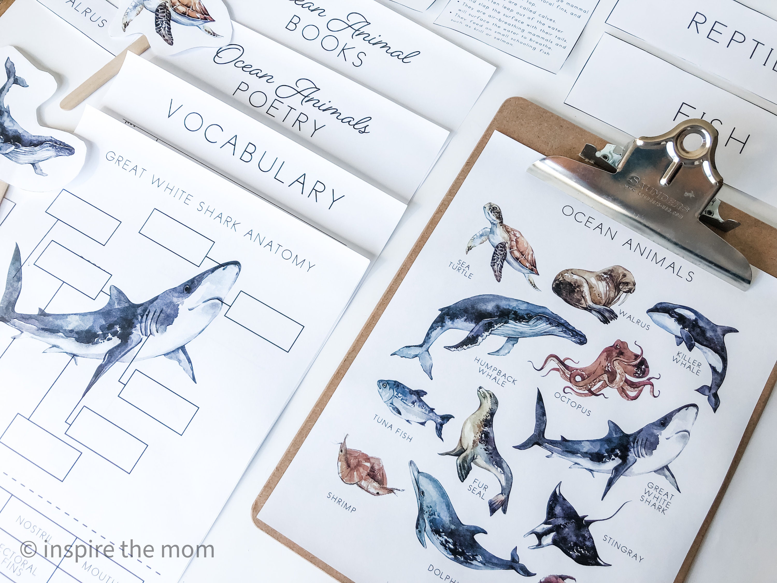 Ocean Animals Unit BUNDLE Nature Study Math Language Arts - Etsy