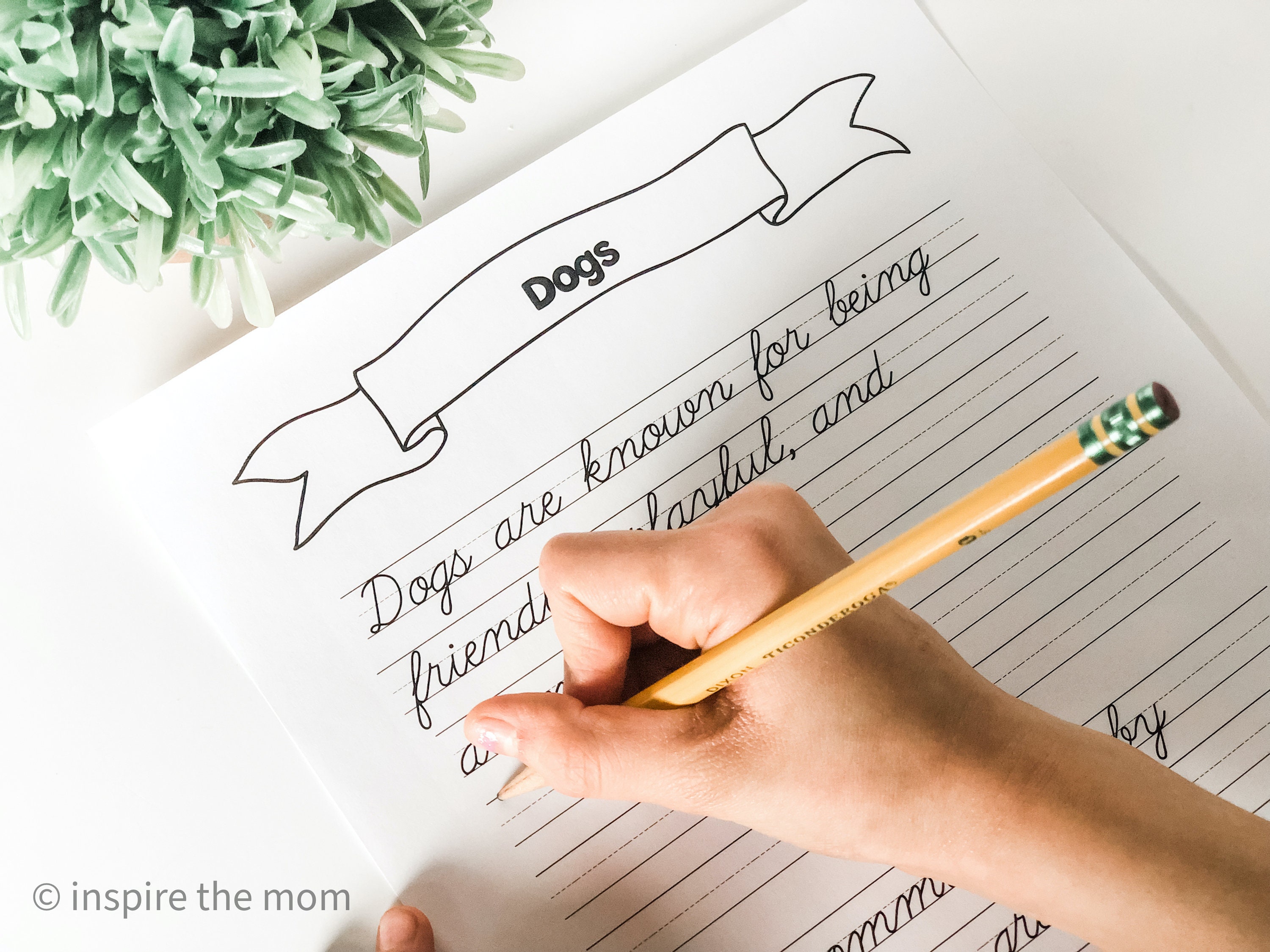 Farm Animals Cursive Copywork Farm Animal Facts Cursive - Etsy