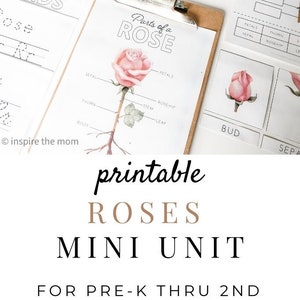 Parts of a Rose Pack, Rose Anatomy, Science, Language Arts, Handwriting ...