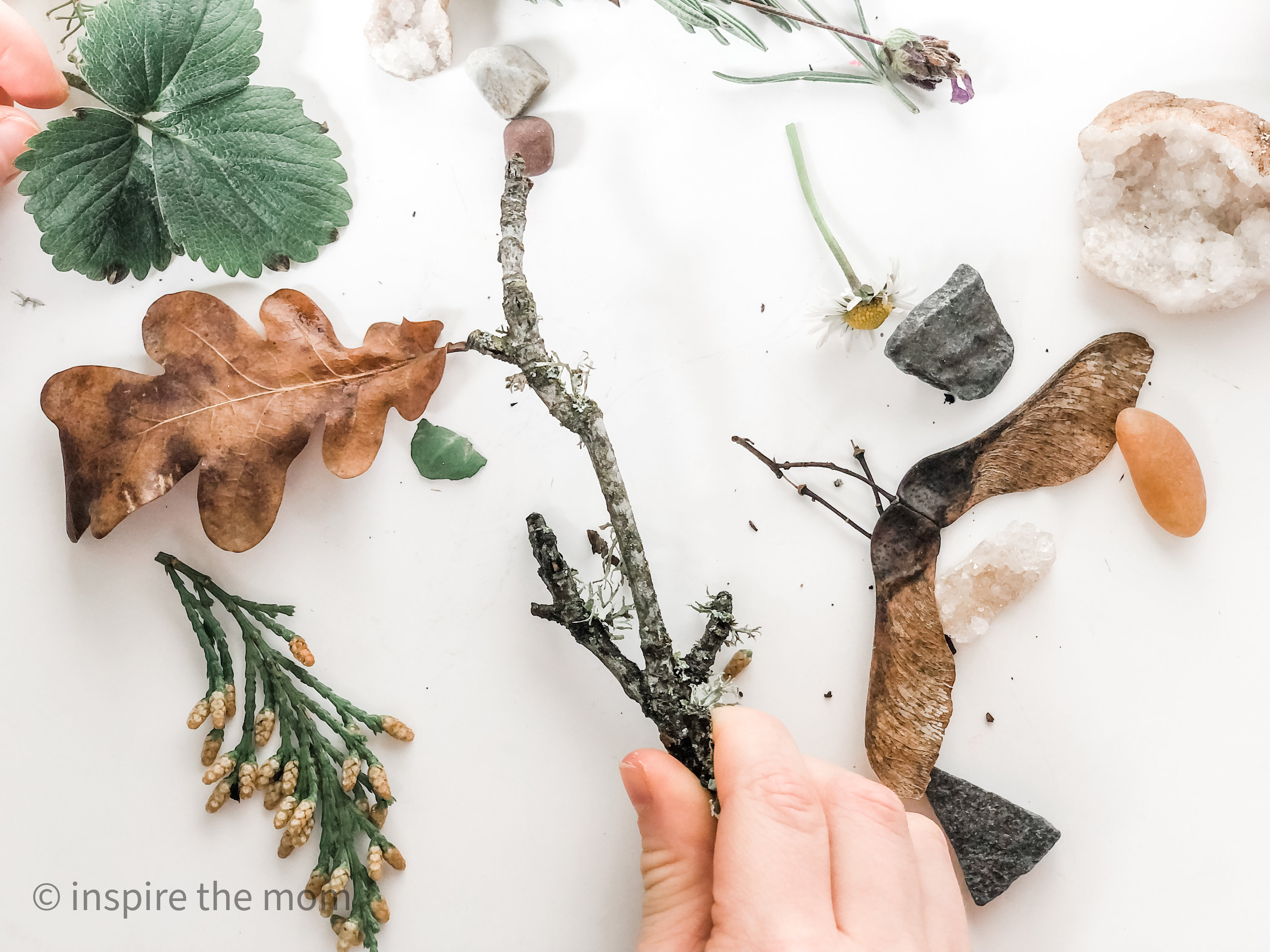 The Heart of Nature Craft Template, Heart Craft, Nature Study ...