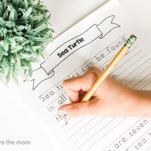 Ocean Animals Print Copywork, Ocean Animal Facts, Print Handwriting ...