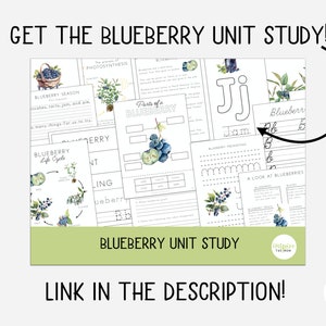 Blueberry Craft Template, Fingerprint Craft, Preschool Craft ...