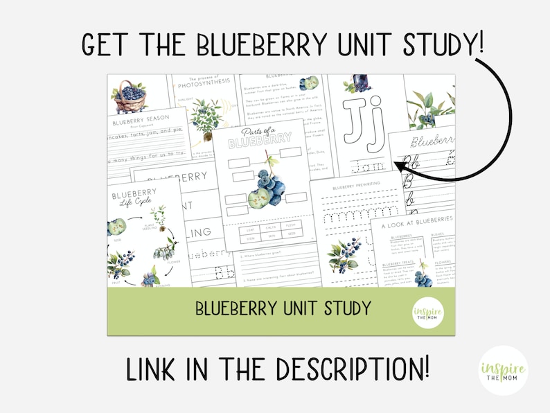 Blueberry Craft Template, Fingerprint Craft, Preschool Craft ...