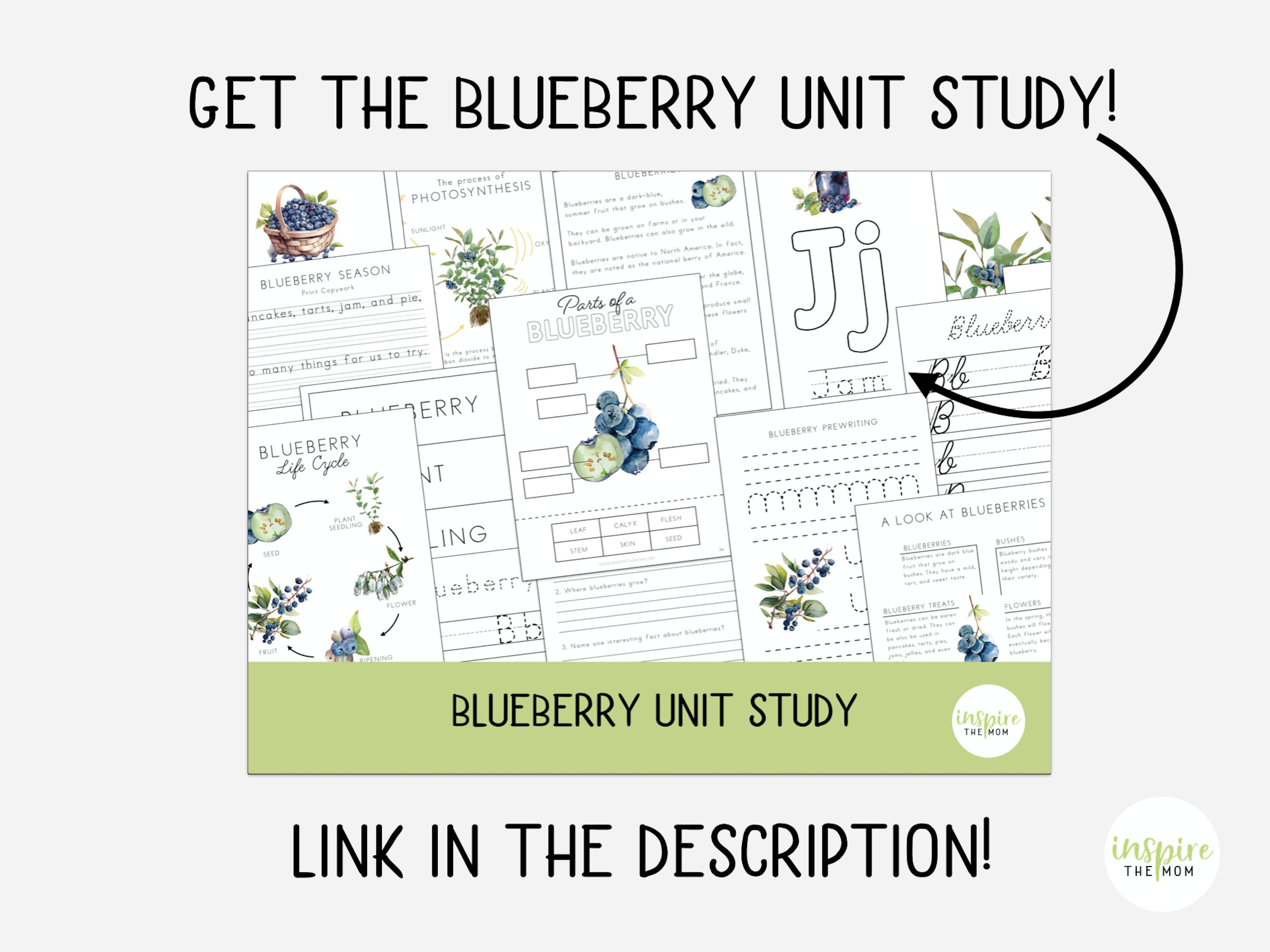 Blueberry Craft Template, Fingerprint Craft, Preschool Craft ...