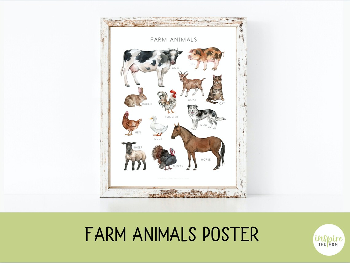Farm Animals Nature Poster Educational Poster School Art | Etsy