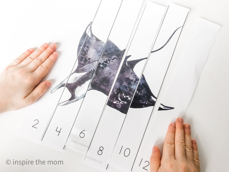 Ocean Animals Math Pack Prek-2nd Ocean Unit Math - Etsy