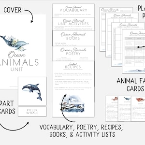 Ocean Animals Unit BUNDLE, Nature Study, Math, Language Arts ...