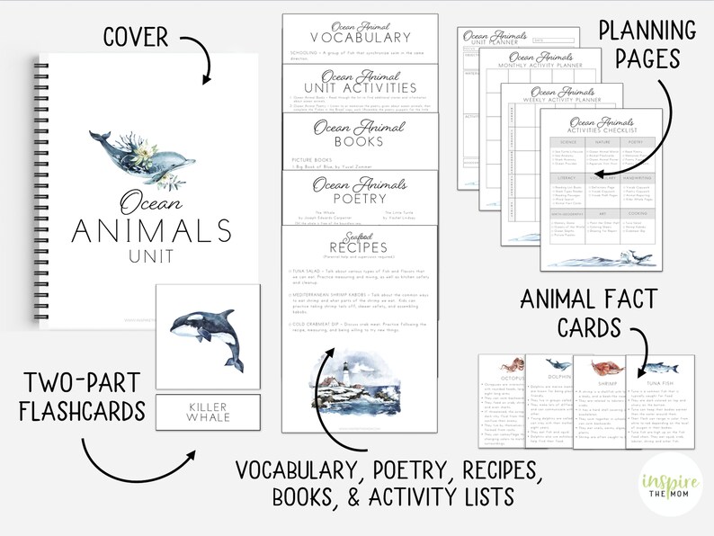 Ocean Animals Unit BUNDLE, Nature Study, Math, Language Arts ...