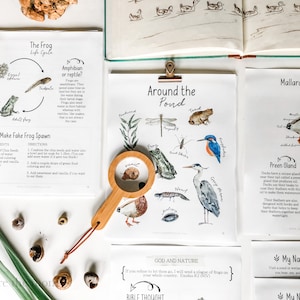 Spring Nature Journal for Kids, Nature Study, Science Curriculum ...