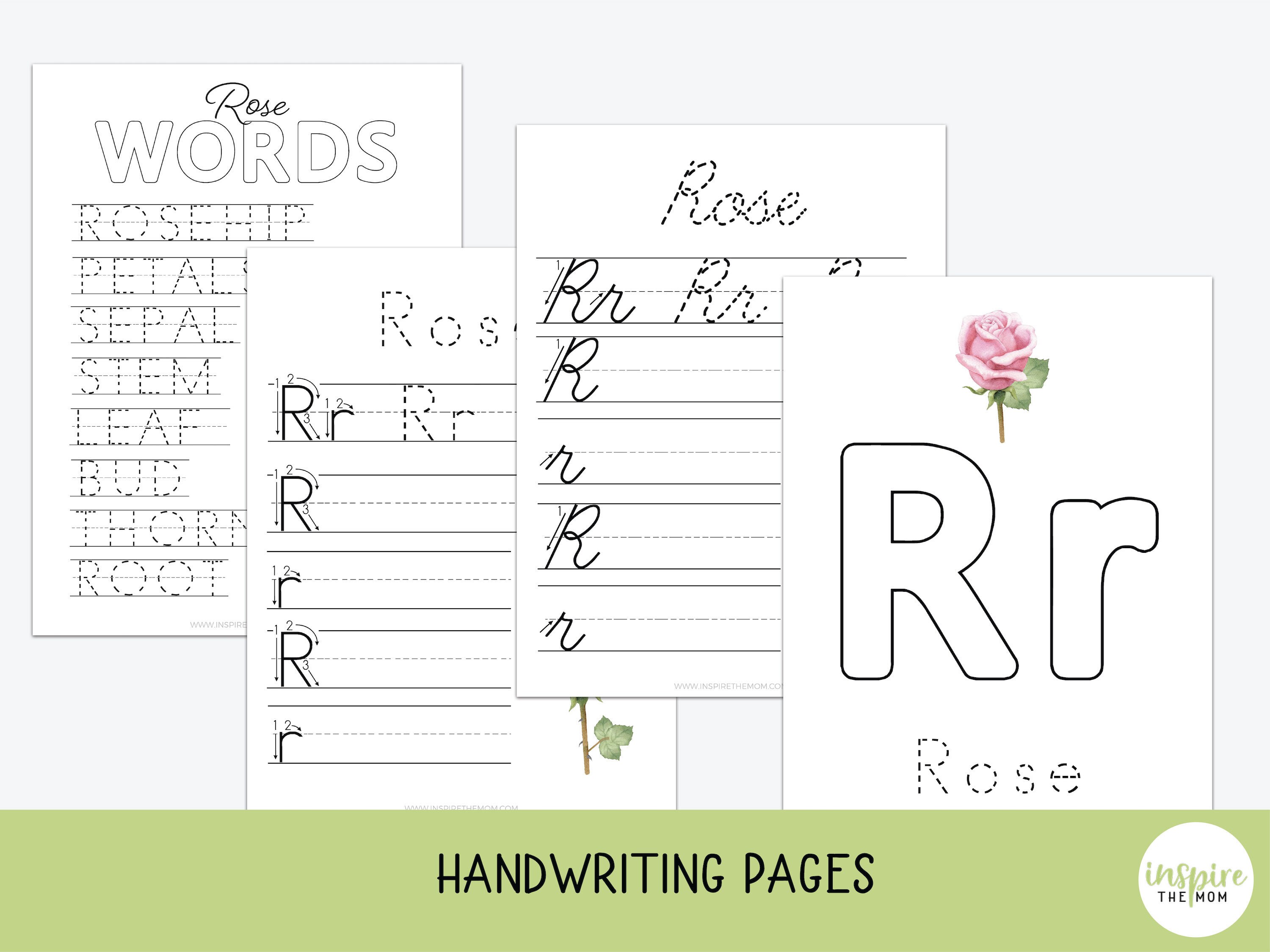 Parts of a Rose Pack Rose Anatomy Science Language Arts - Etsy