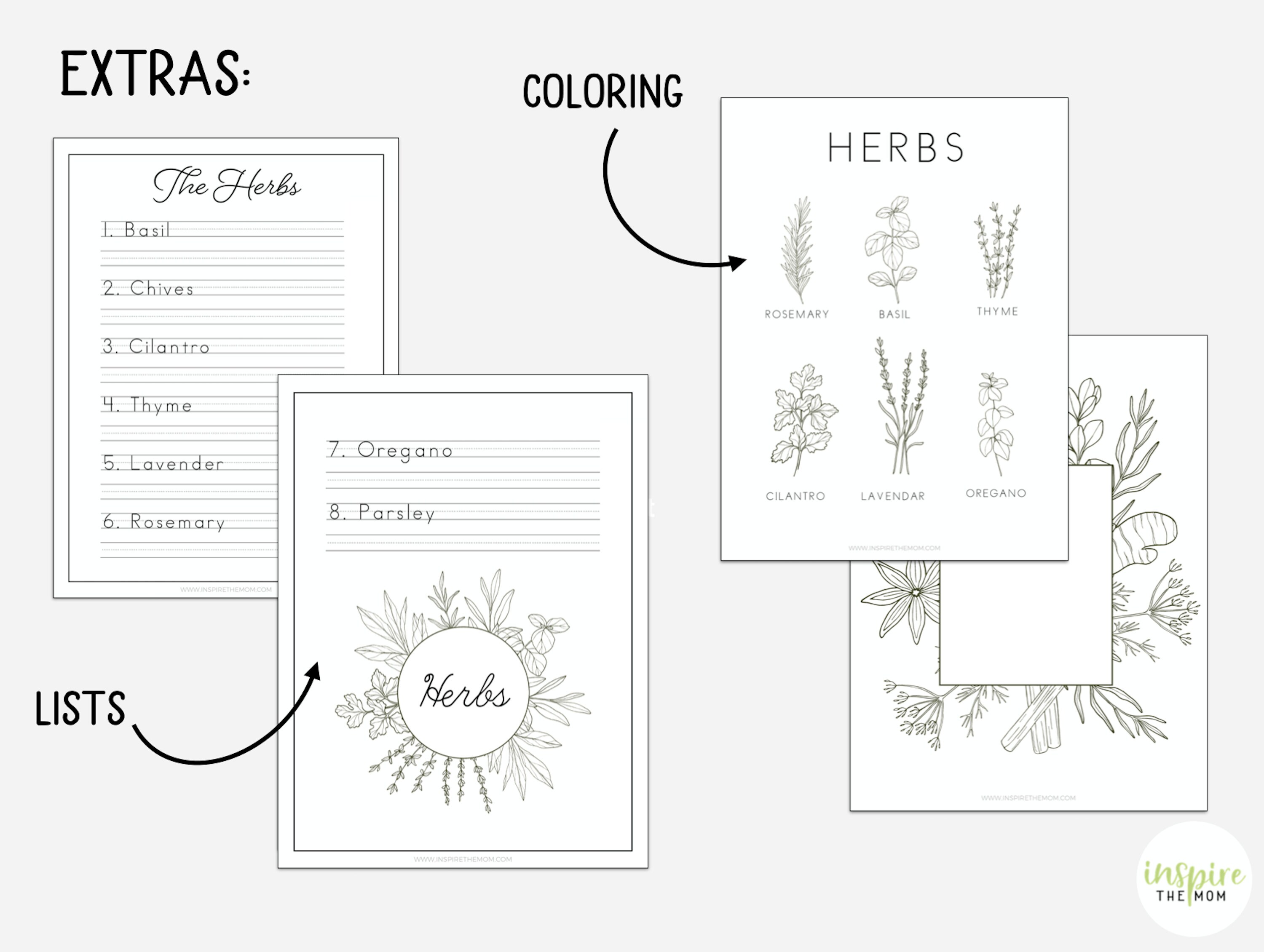 Herbs, Print Copywork, Herb Facts, Print Handwriting Practice ...