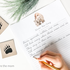 Winter Animals Unit, Nature Study, Homeschool Printable, Prek - 2nd ...