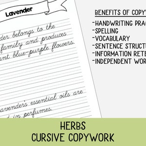 Herbs, Cursive Copywork, Herb Facts, Cursive Handwriting Practice ...