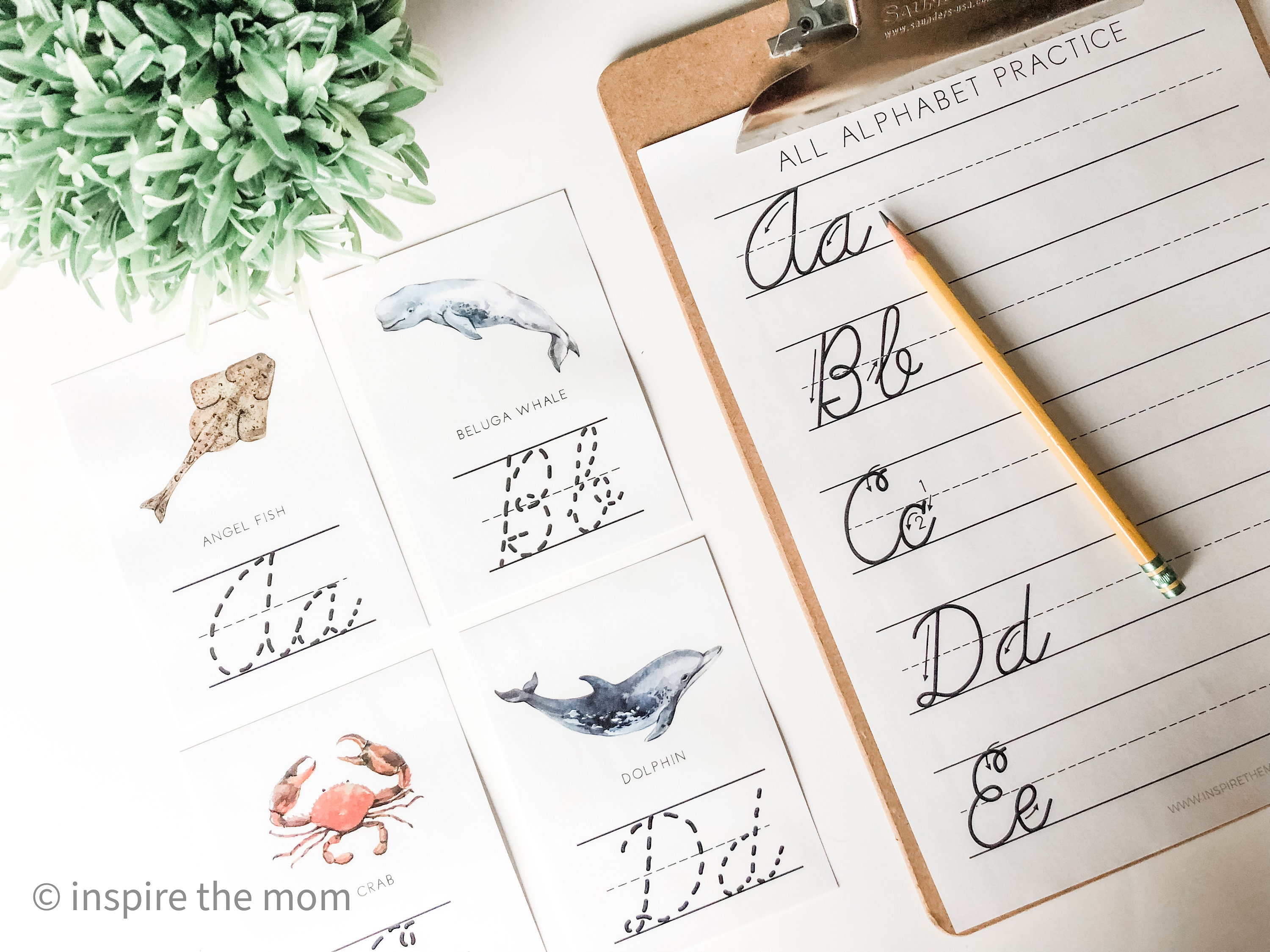 Ocean Animal Alphabet Tracing Cards Handwriting Activity - Etsy
