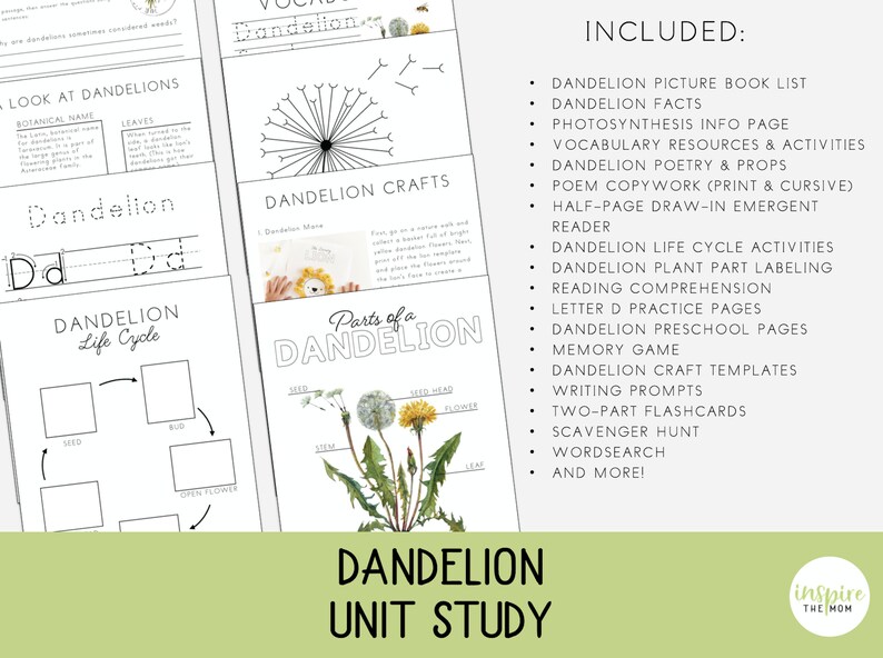Dandelion Unit Study, Nature Study, Life Cycle, Prek 3rd Grade, Spring ...