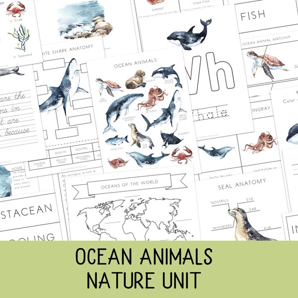 Ocean Animals - Etsy