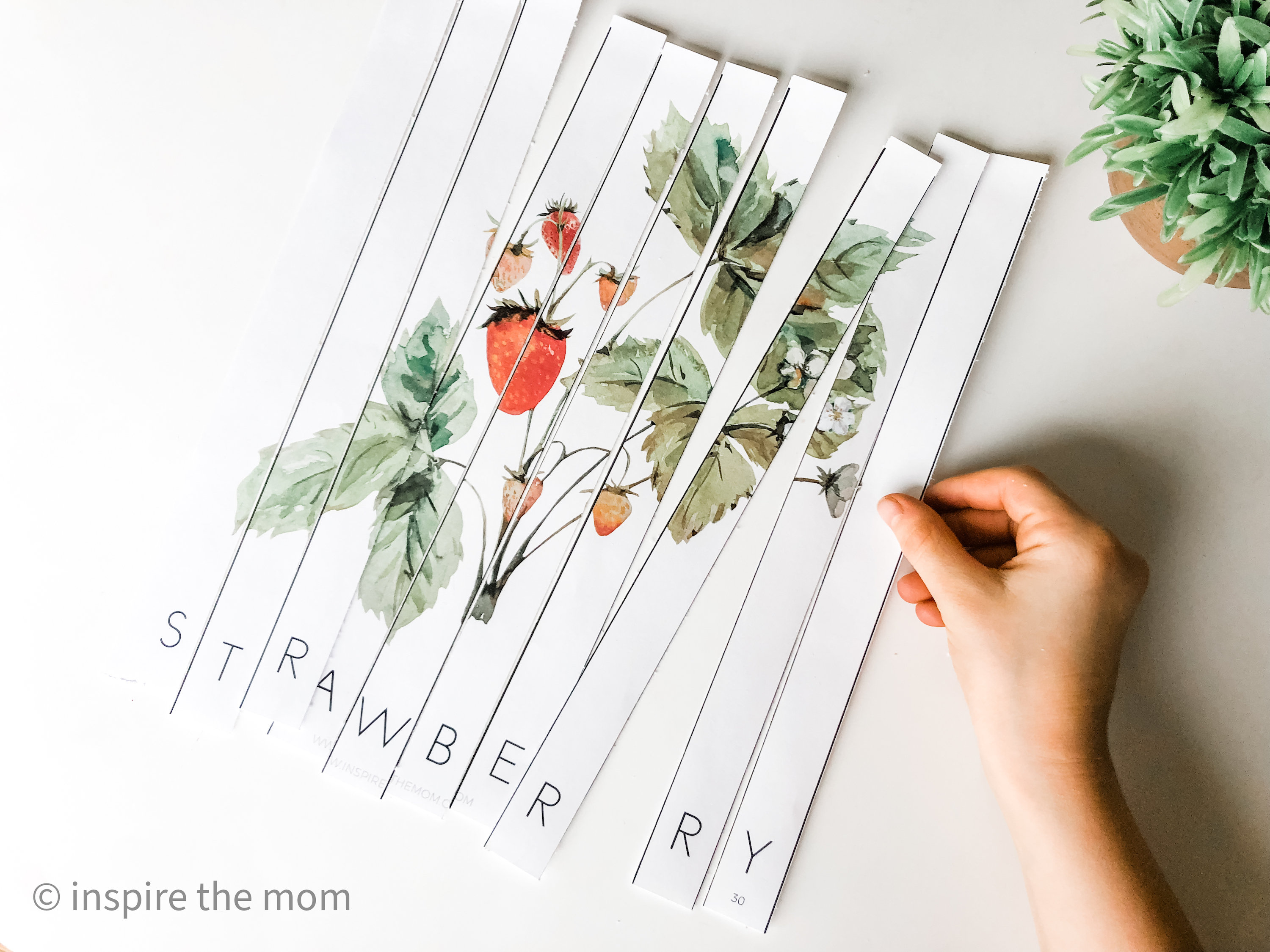 Strawberry Unit Study | Life Cycle | Poem Activities | Spring and ...
