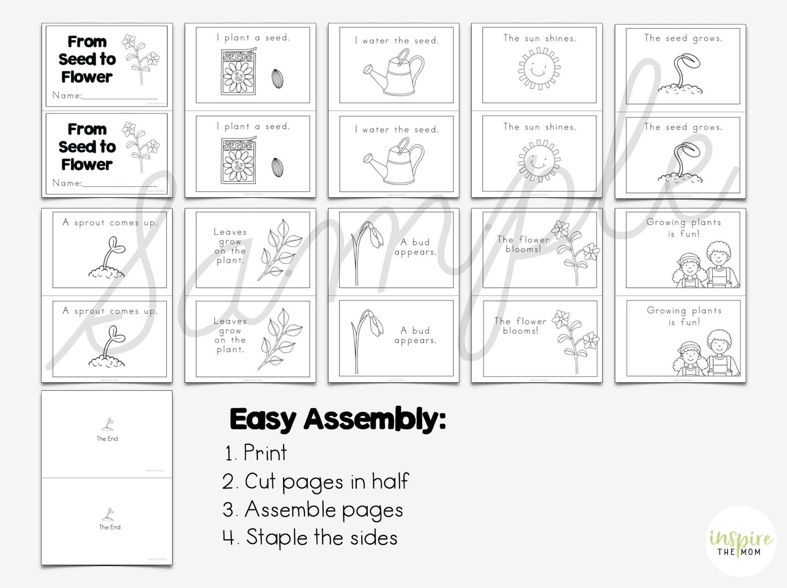 From Seed to Flower Emergent Reader | Plant Lifecycle Activity ...