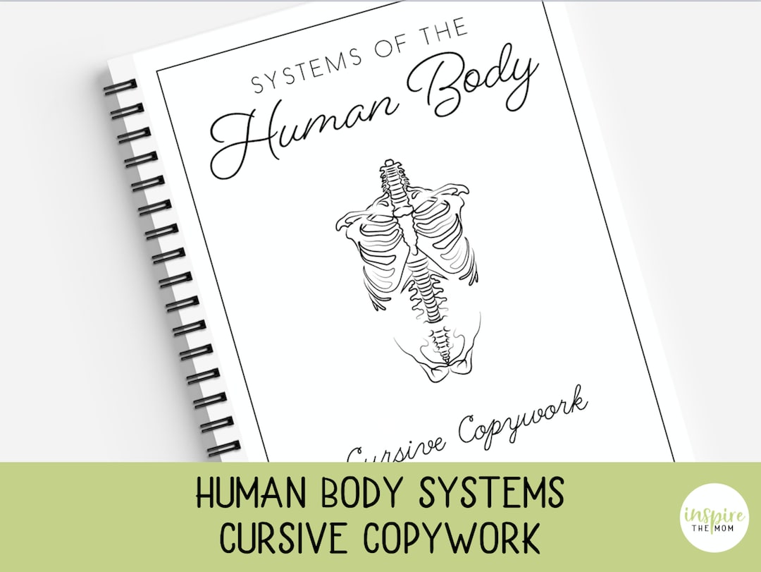 Human Body Systems, Cursive Copywork, Human Body Facts, Cursive ...