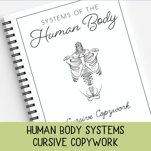 Human Body Systems Cursive Copywork Human Body Facts - Etsy