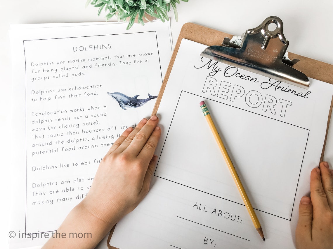 Ocean Animals Unit BUNDLE Nature Study Math Language Arts - Etsy