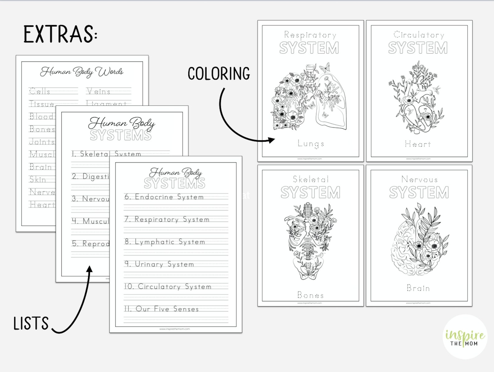 Human Body Systems Print Copywork Human Body Facts Print - Etsy