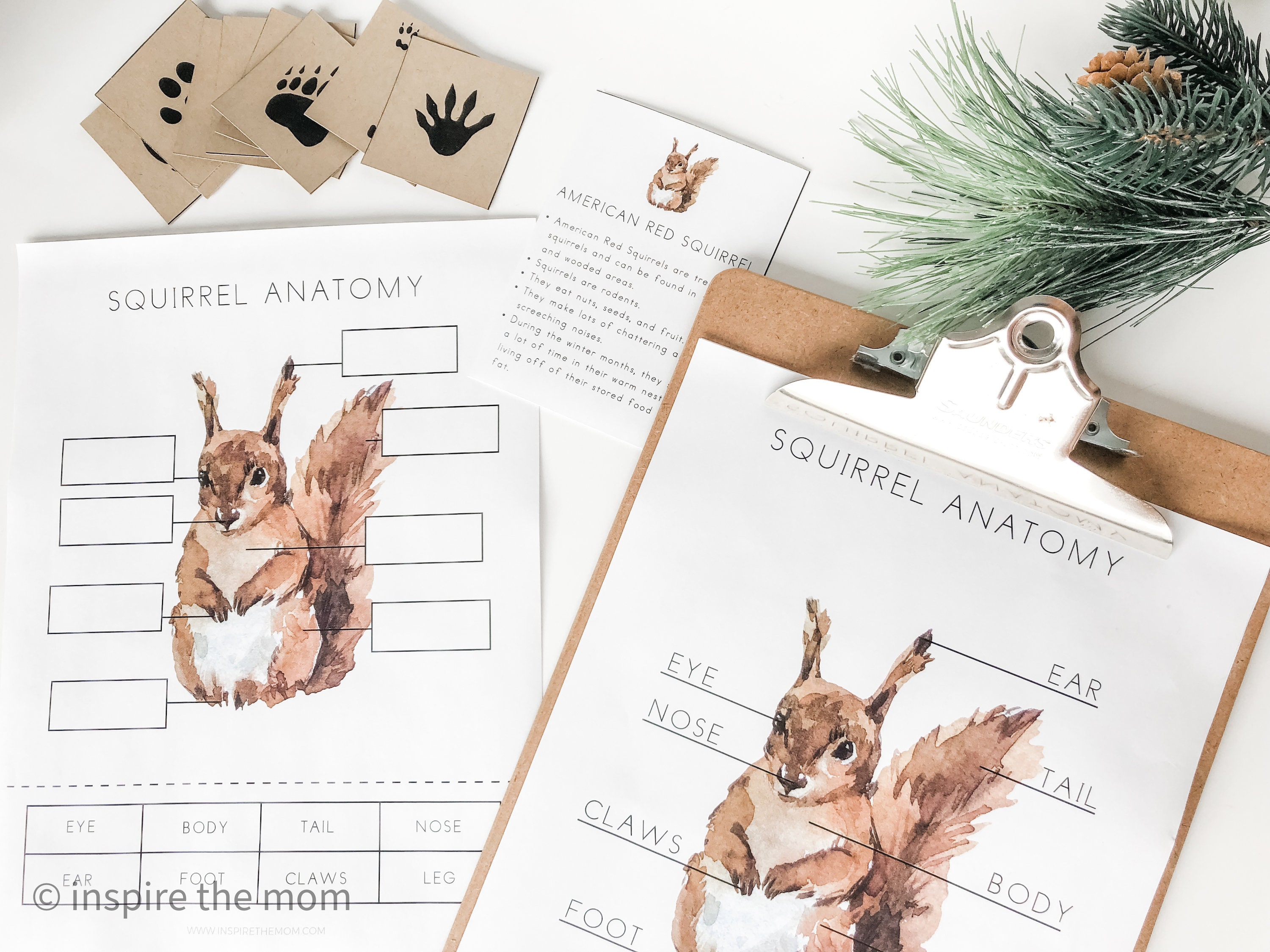 Winter Animals Unit Study for Kids | Prek–2nd Nature Activities ...