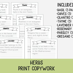 Herbs, Print Copywork, Herb Facts, Print Handwriting Practice ...