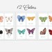 Butterfly Colors Flashcards, Nature Printable, Preschool Colors, Color ...