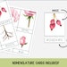 Parts of a Rose Flashcards, Rose Anatomy Poster, Science Printable ...