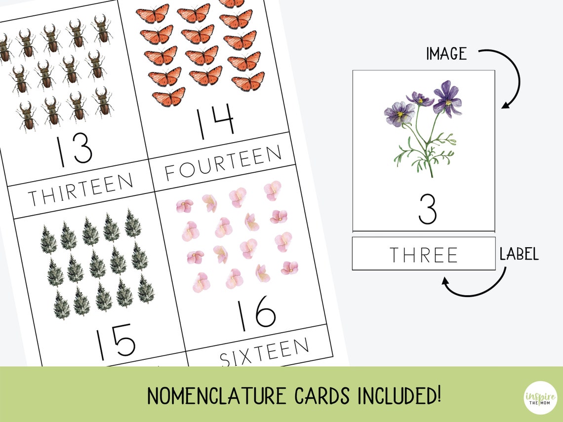 Nature Counting Flashcards, Preschool, Homeschool Printable, Charlotte ...