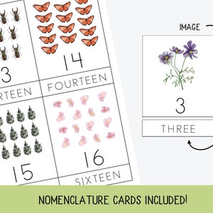 Nature Counting Flashcards, Preschool, Homeschool Printable, Charlotte ...