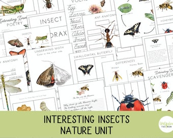 Bugs Unit Study Insect Unit Printable Homeschool Lesson - Etsy