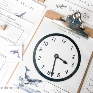 Ocean Animals Math Pack, Prek-2nd, Ocean Unit, Math Activities ...